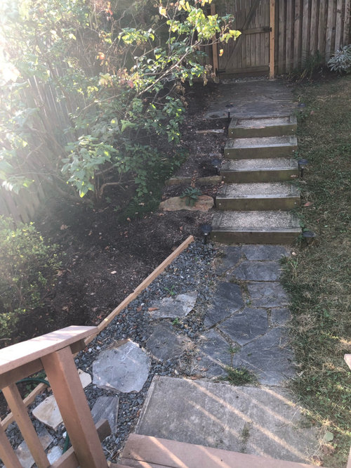 what to plant along these steps?