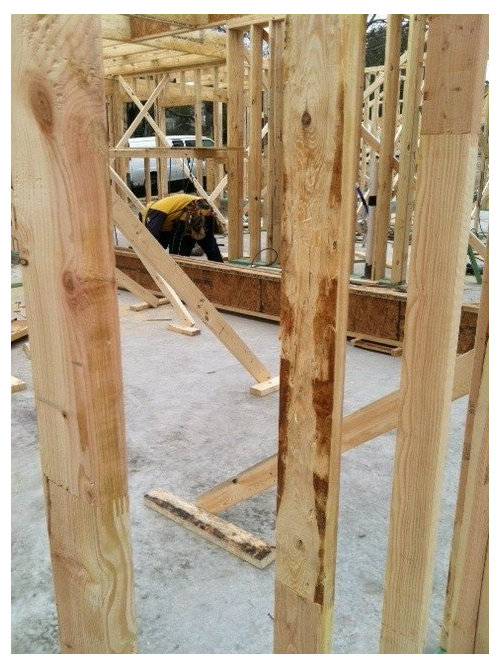 Framing - bad boards?