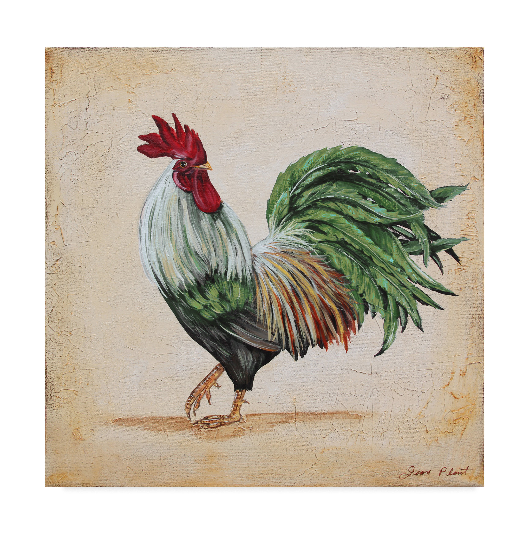 Jean Plout 'Rooster 5' Canvas Art, 24"x24" - Farmhouse - Prints And ...