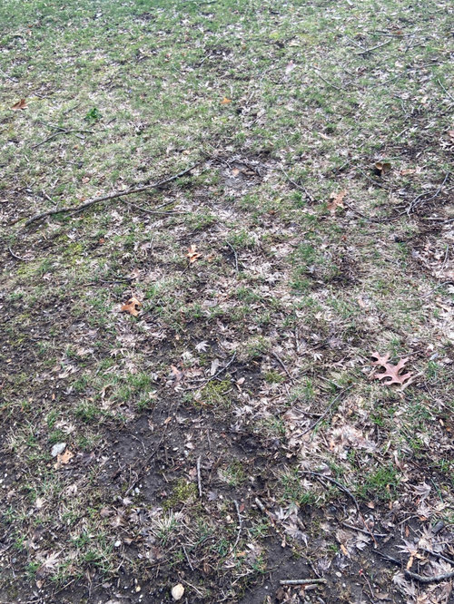 how to fix patchy spots on lawn