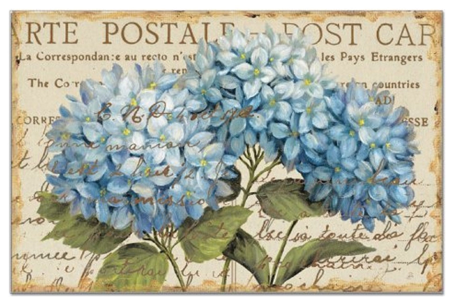 Blue Hydrangeas Paper Placemat, Pack of 24 - French Country - Placemats ...