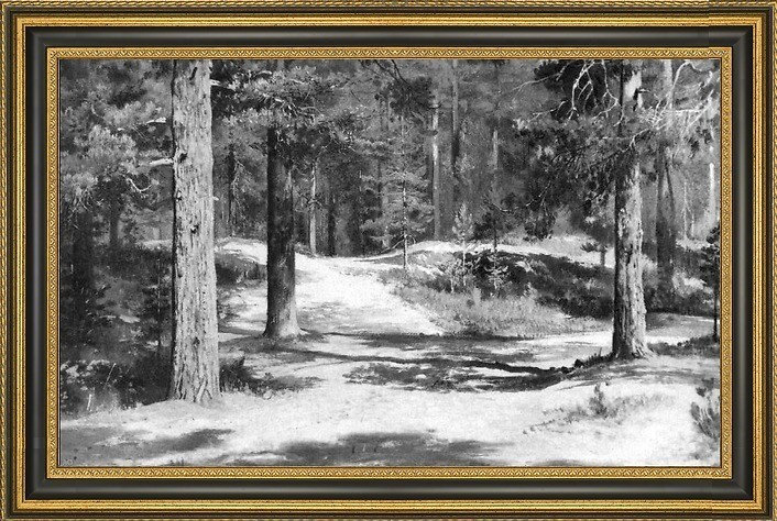 Ivan Ivanovich Shishkin Piny Forest Framed Canvas Print, 18"x27" - Traditional - Prints And ...