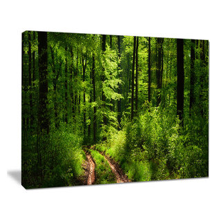 "Fascinating Greenery in Wild Forest" Large Forest Wall Art, 40"x30 ...