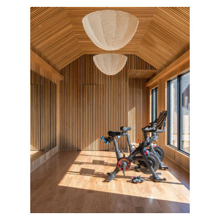 Wellness Addition - Contemporary - Home Gym - Dallas - by HRS BUILD | Houzz