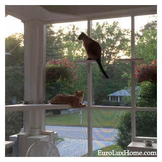 Screened-in Cat Porch or Catio - Eclectic - Other - by EuroLuxHome ...
