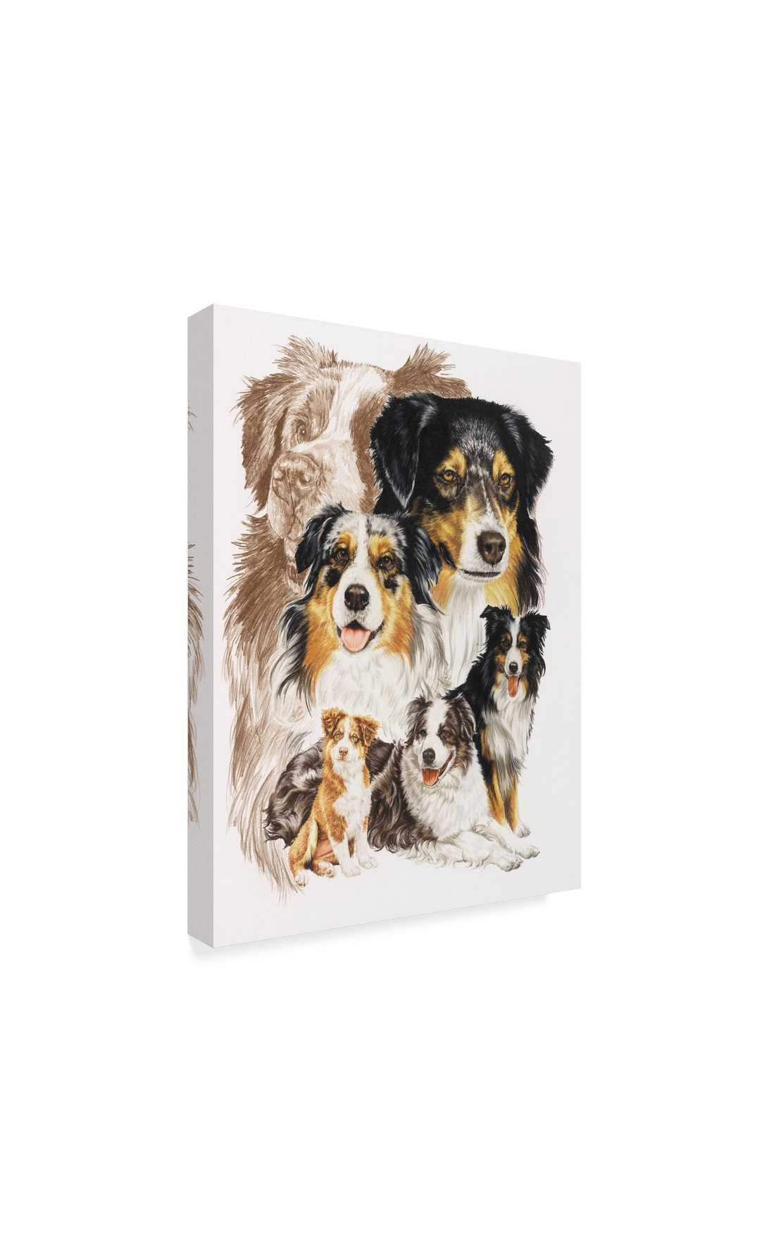 "Australian Shepherds" by Barbara Keith, Canvas Art, 32"x24 ...