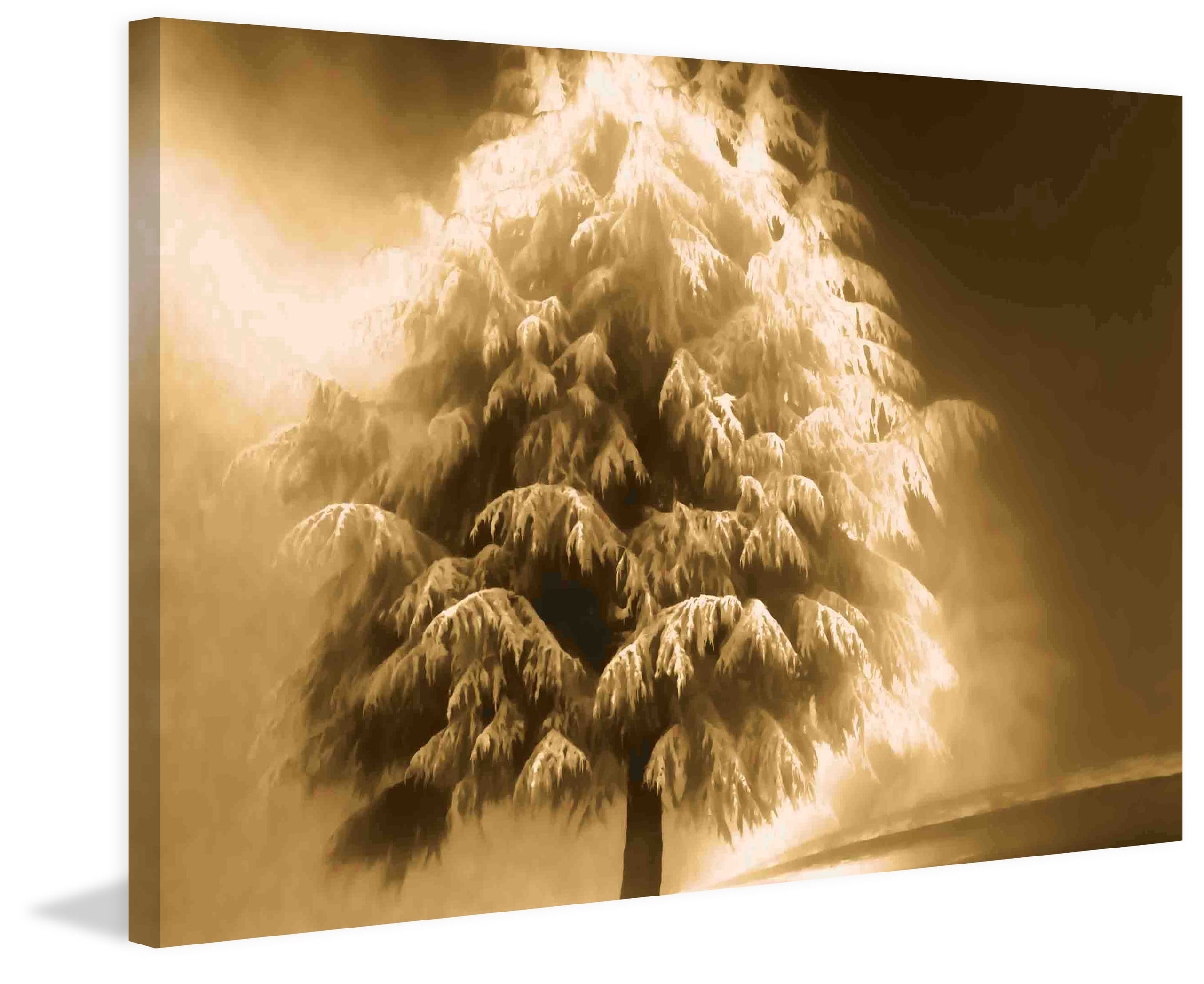 "Enlightened Tree" Painting Print on Canvas, 60"x40" - Contemporary ...