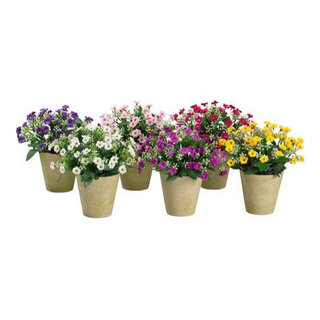 Silk Plants Direct Sweet William - Assorted - Pack of 12 - Artificial ...