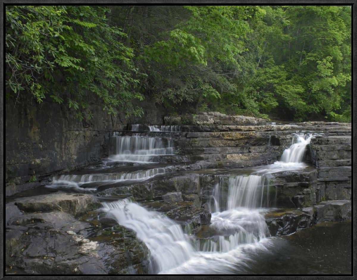 "Dismal Falls, Jefferson National Forest, Virginia" by Tim Fitzharris ...