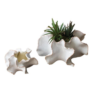 Wavy Shaped Organic White Ceramic Succulent Planters, 2-Piece Set ...