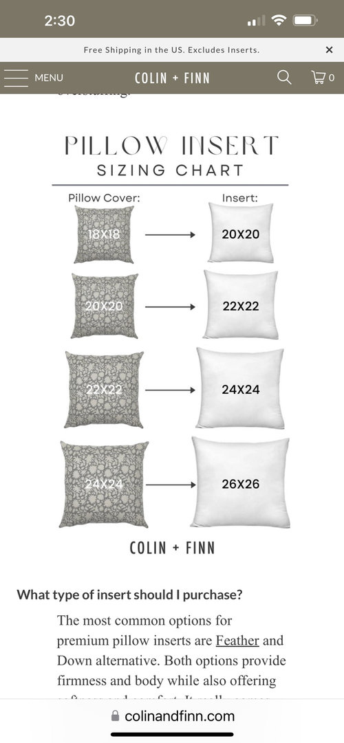 Size of decorative throw pillow inserts and cover