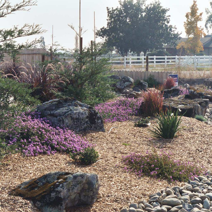 75 Rock Landscaping Ideas You'll Love - May, 2026 | Houzz