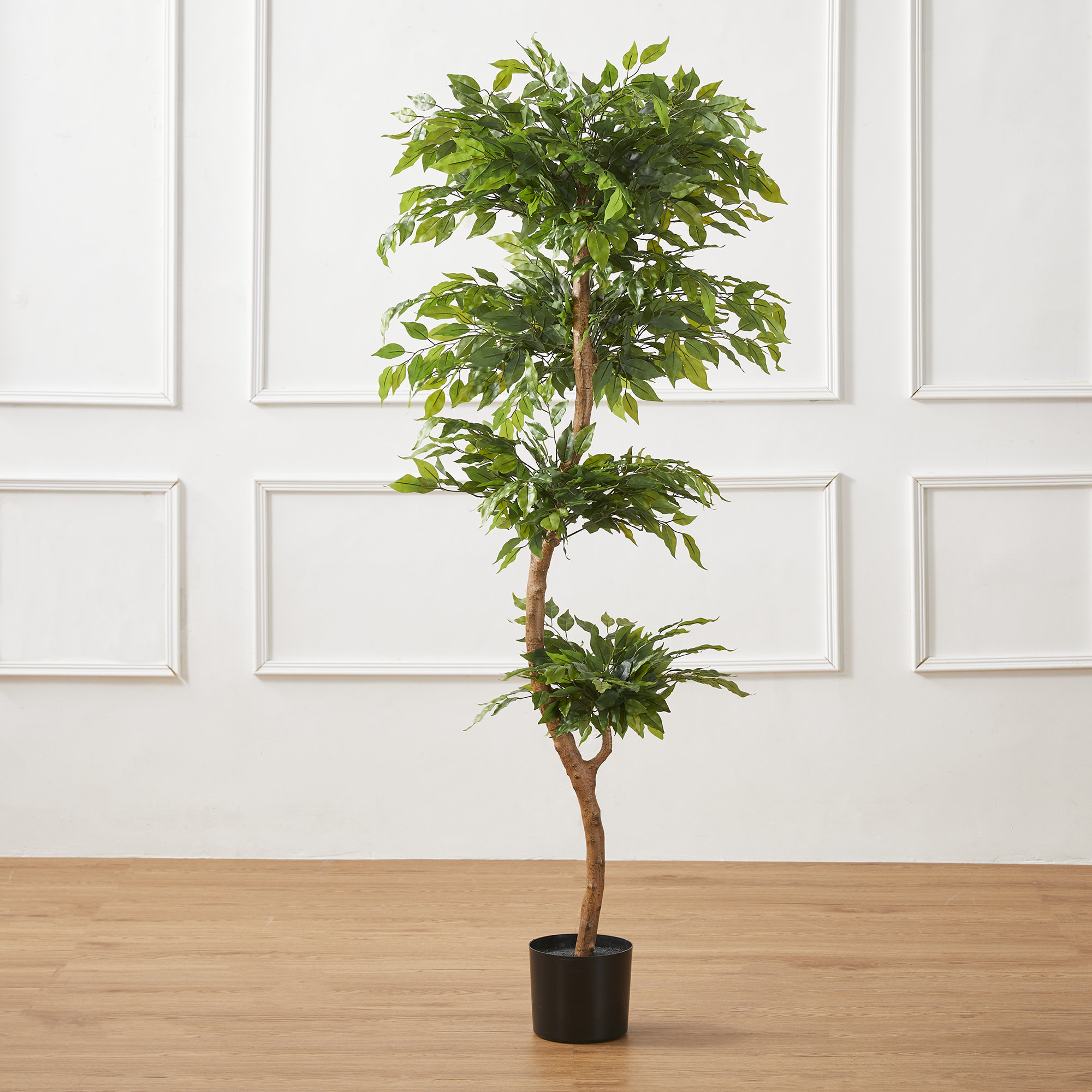 5' Creative Shaped Faux Ficus Tree in Pot - Traditional - Artificial ...