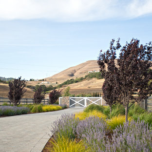 75 Most Popular Country Driveway Design Ideas for November 2020 ...