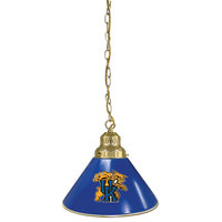 Holland University of Kentucky Cat Pendant Light - Brass Fixture ...