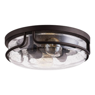 Vintage Rustic 2-Light Clear Glass Design Flush Mount Ceiling Light ...