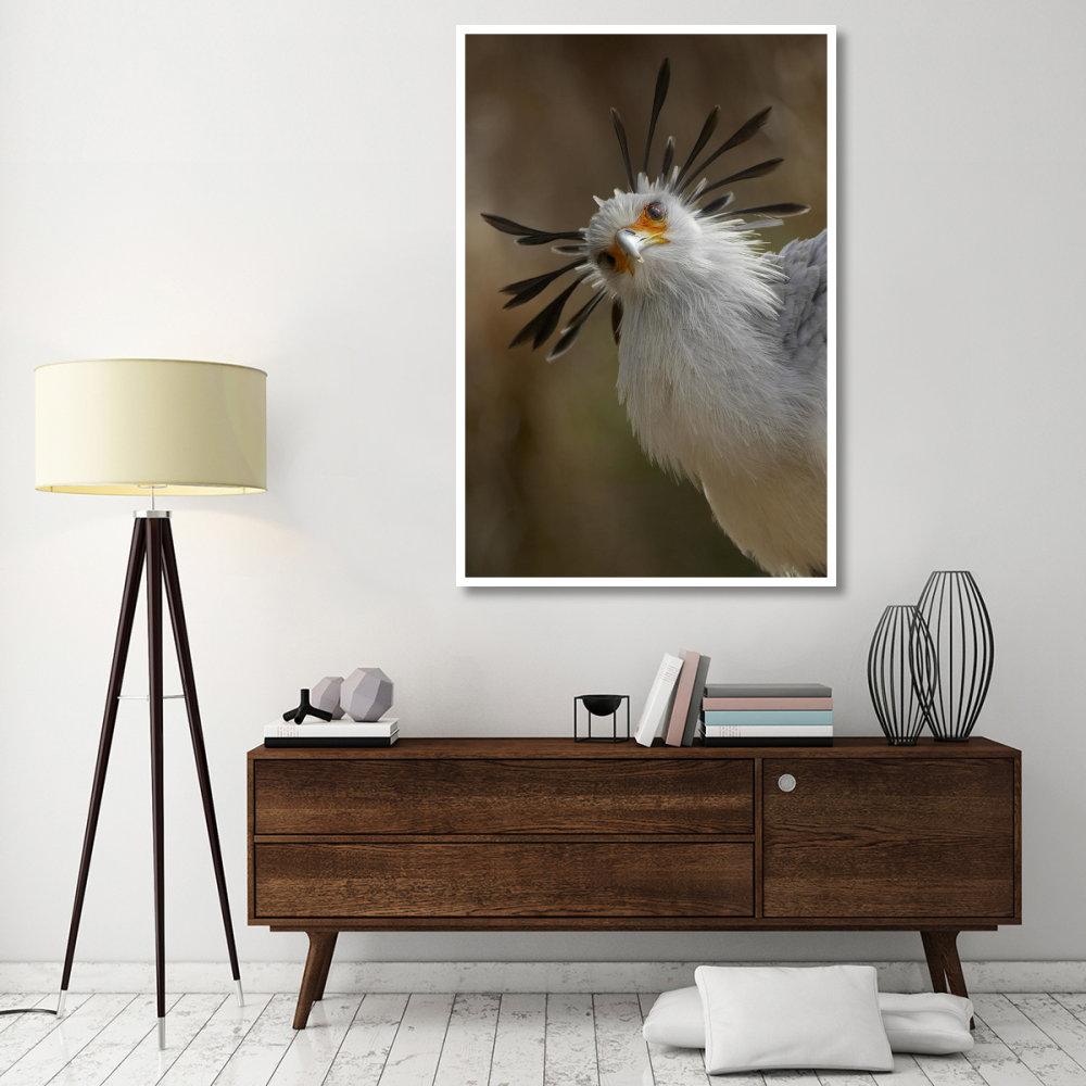 "Secretary Bird portrait, native to Africa" Print by San Diego Zoo, 14 ...