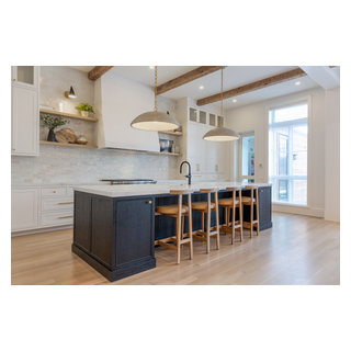 HOWE HOME - Transitional - Kitchen - Chicago - by DOMAIN CONSTRUCTION ...