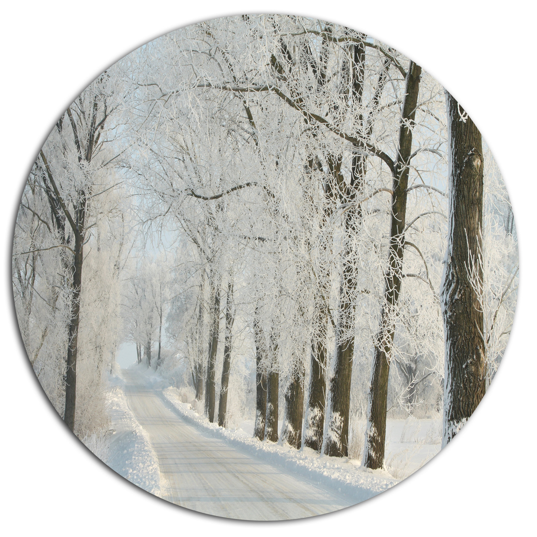 Winter Road In Dense Foggy Forest, Forest Round Wall Art, Disc of 23 ...