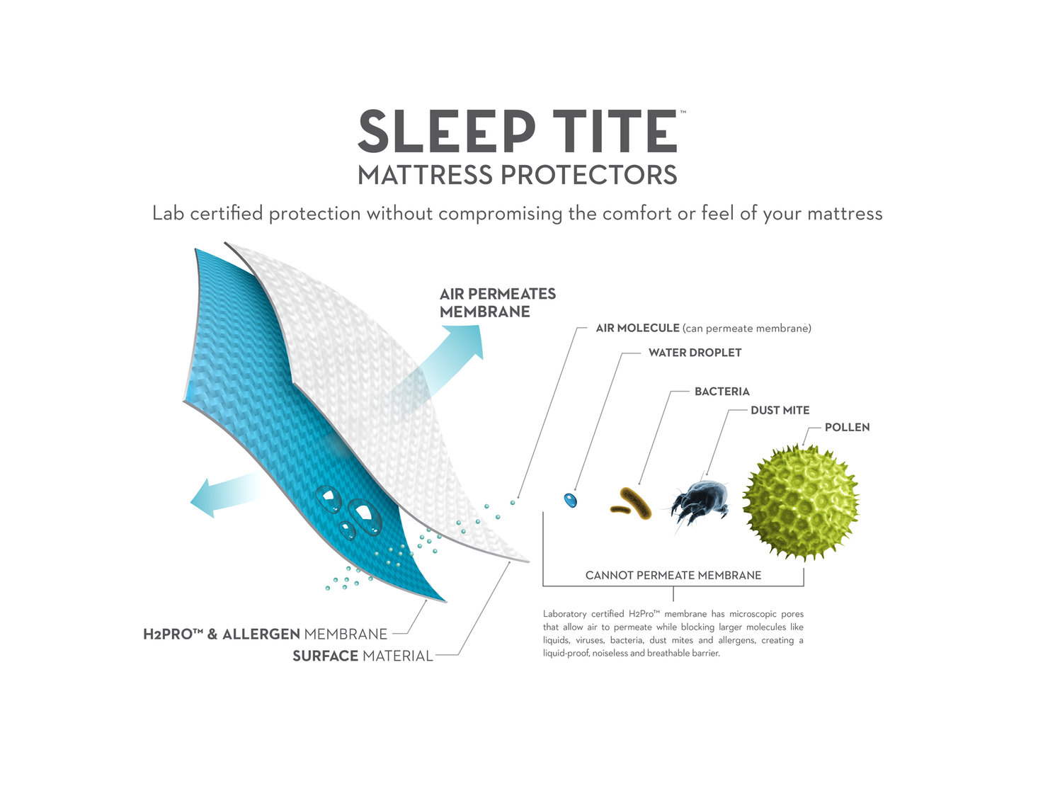 Sleep Tite Mattress Protector, Cal King - Modern - Mattress Protectors ...