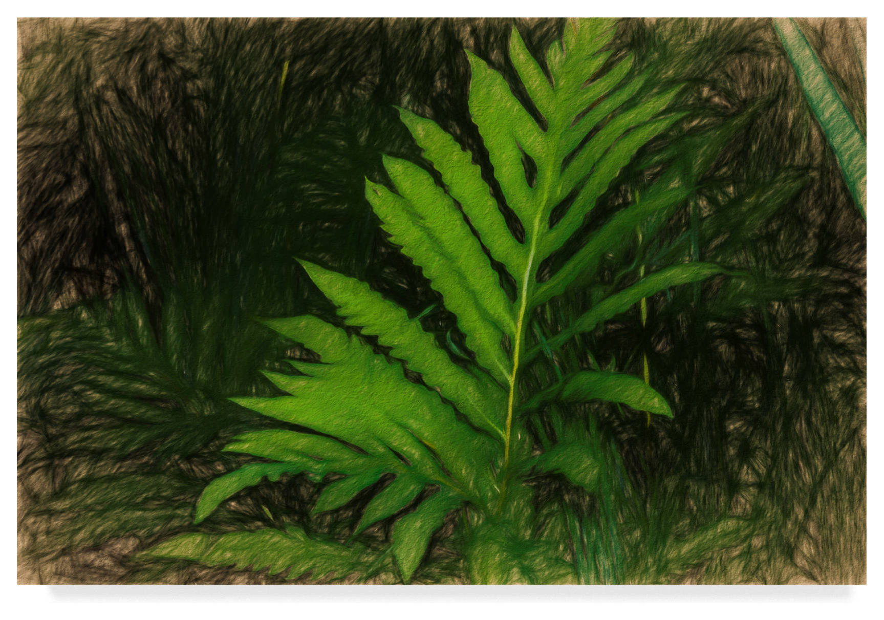 "Liquid Pencil Drawing Green Ferns" by Anthony Paladino, Canvas Art, 30 ...