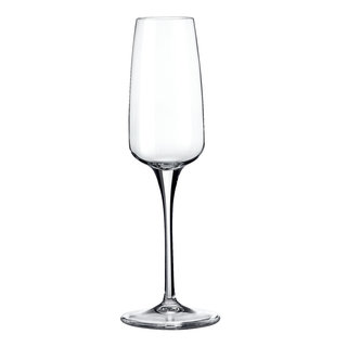 Bormioli Rocco 7.5 Ounce Aries Champagne Flute, Set of 4 - Contemporary ...