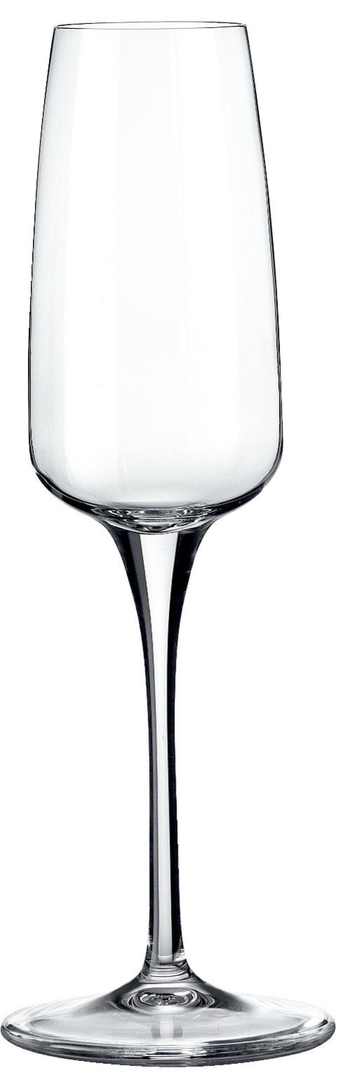 Bormioli Rocco 7.5 Ounce Aries Champagne Flute, Set of 4 - Contemporary ...