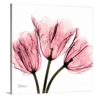 "Tulips Laugh II x-ray photography" Canvas Art, 16"x16" - Contemporary ...