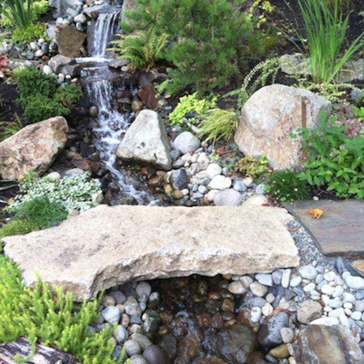 75 Beautiful Asian Garden Ideas & Designs - March 2025 | Houzz AU