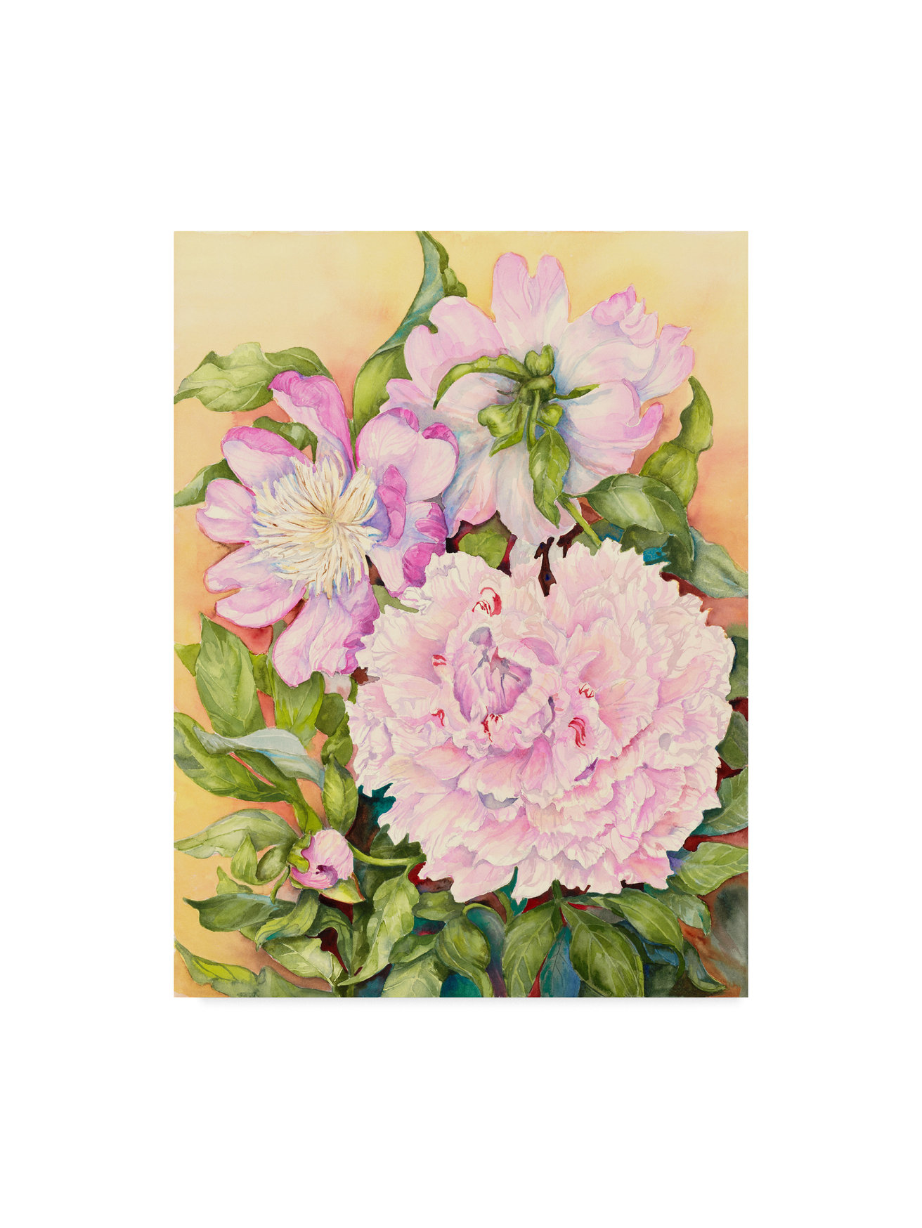 Joanne Porter 'Spring Peony' Canvas Art, 19"x14" - Contemporary ...