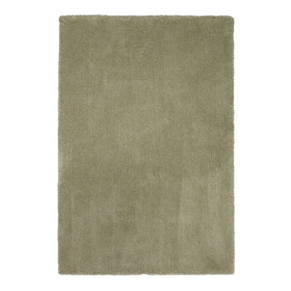 Bliss 1568 Sage Shag Rug, 5'x7' - Contemporary - Area Rugs - by KAS ...