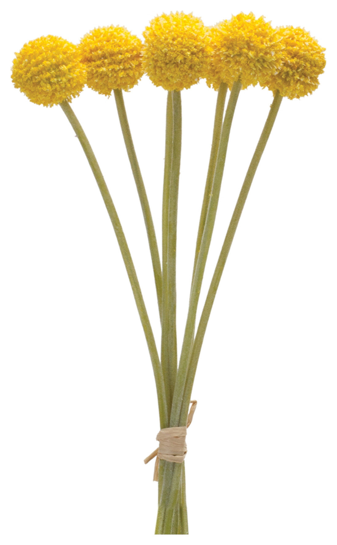 Pod Bundle 13.25"H Plastic - Traditional - Artificial Flower ...