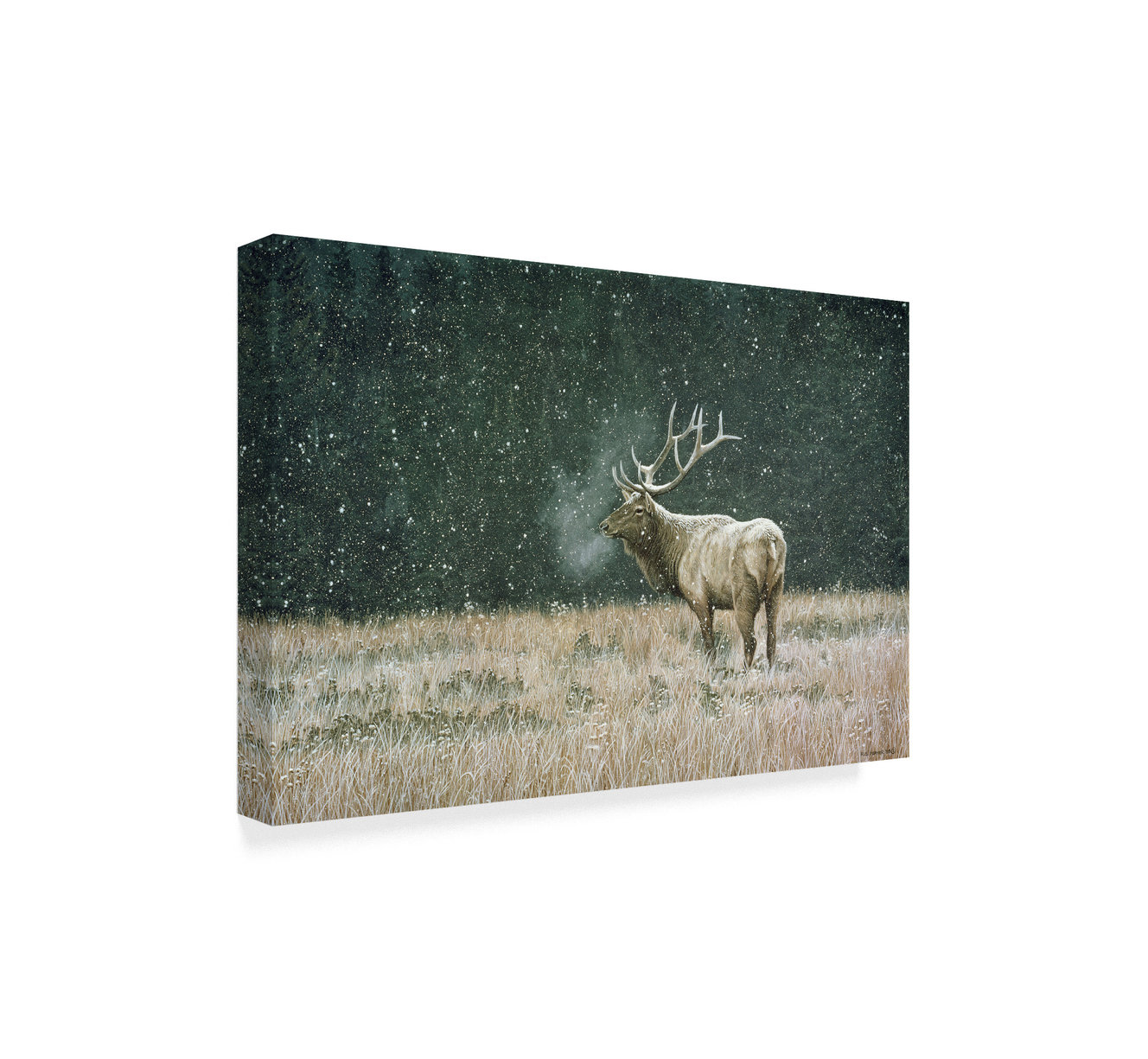 Ron Parker 'Early Snowfall' Canvas Art, 32"x22" - Rustic - Prints And ...