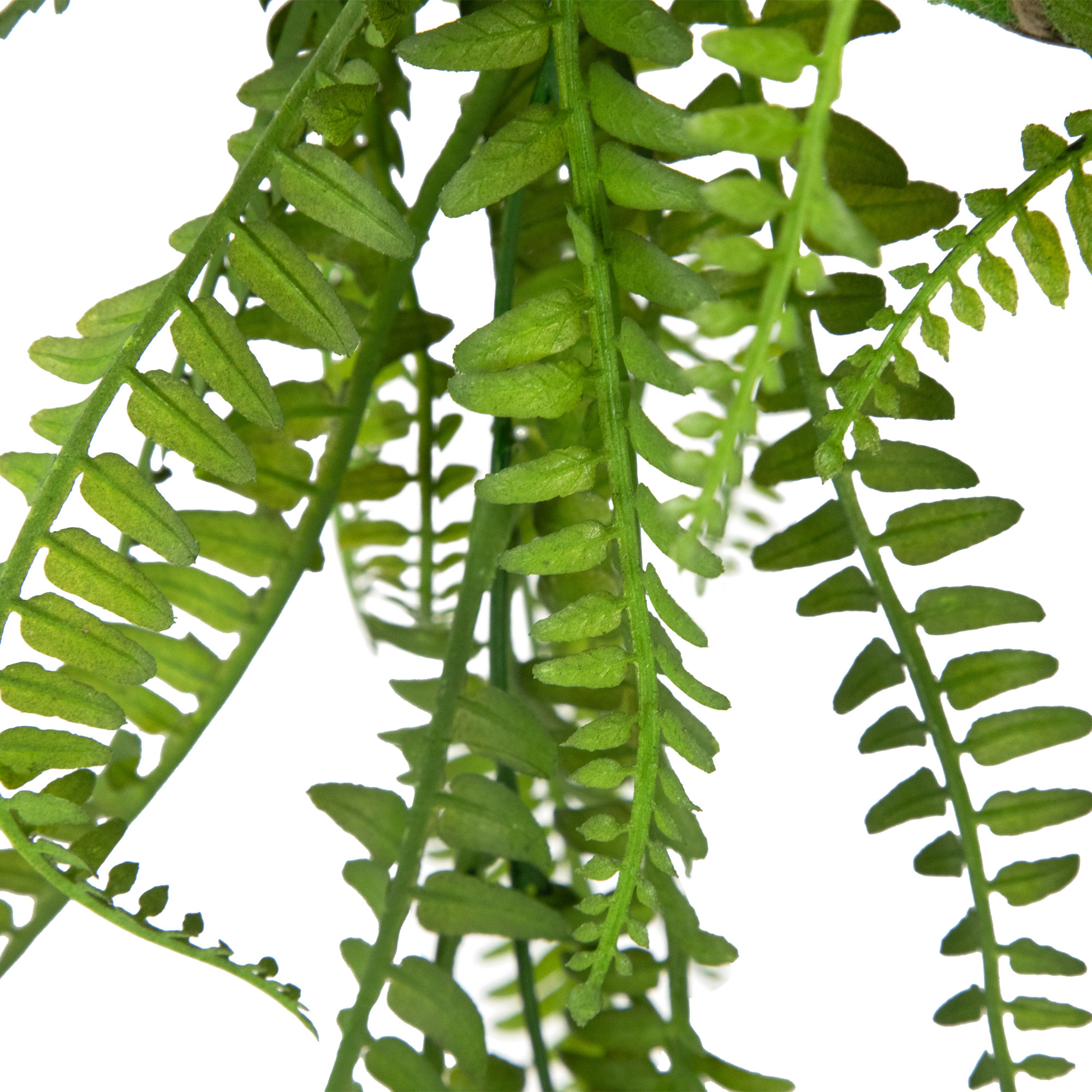 18" Artificial Fern Plant With Moss Ball and Hanging Jute Cord - Modern ...