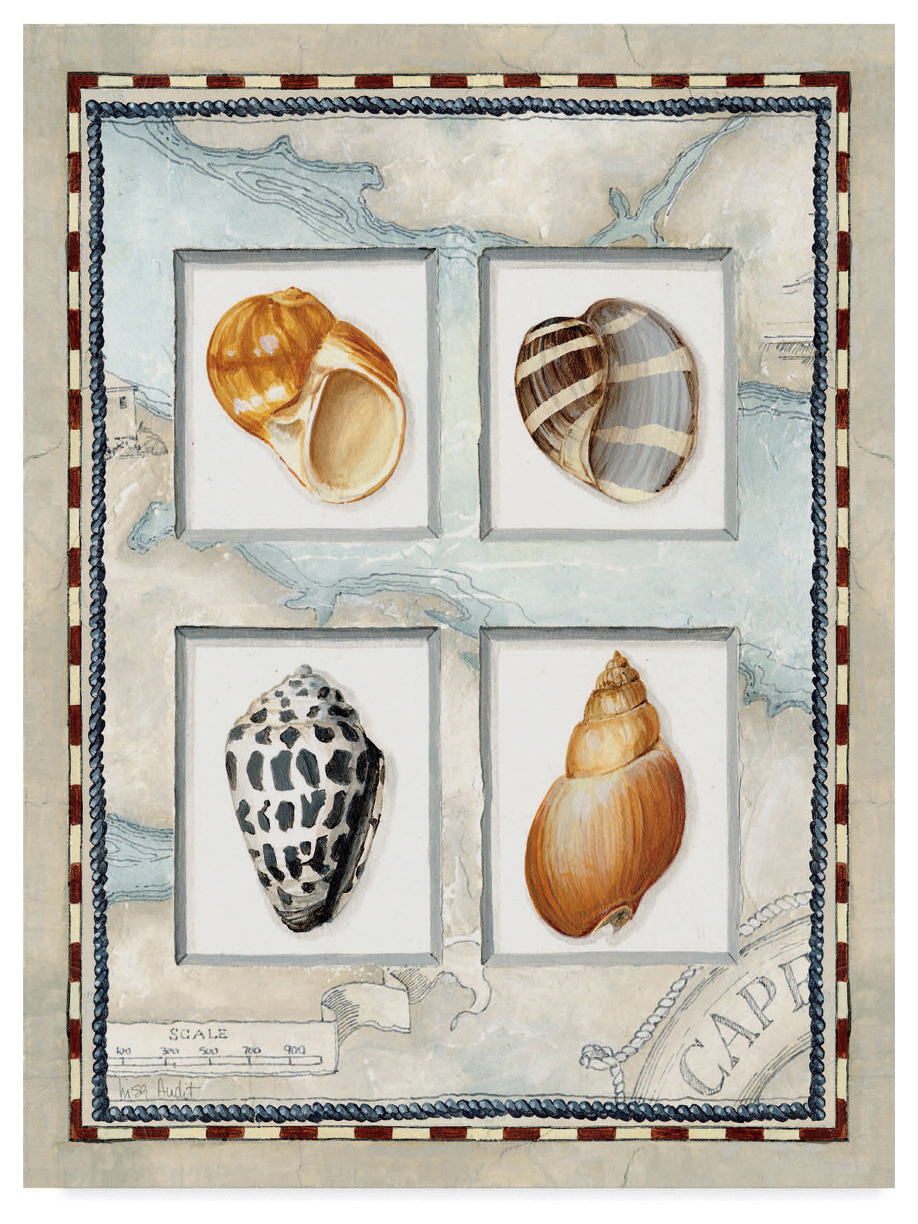 "Four Shells" by Lisa Audit, Canvas Art, 47"x35" - Beach Style - Prints ...