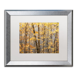Jason Shaffer 'Autumn Treeline' Matted Framed Art, 20"x16 ...
