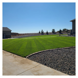 Landscaping Renovation (Berm, Irrigation System, Sod, Trees ...