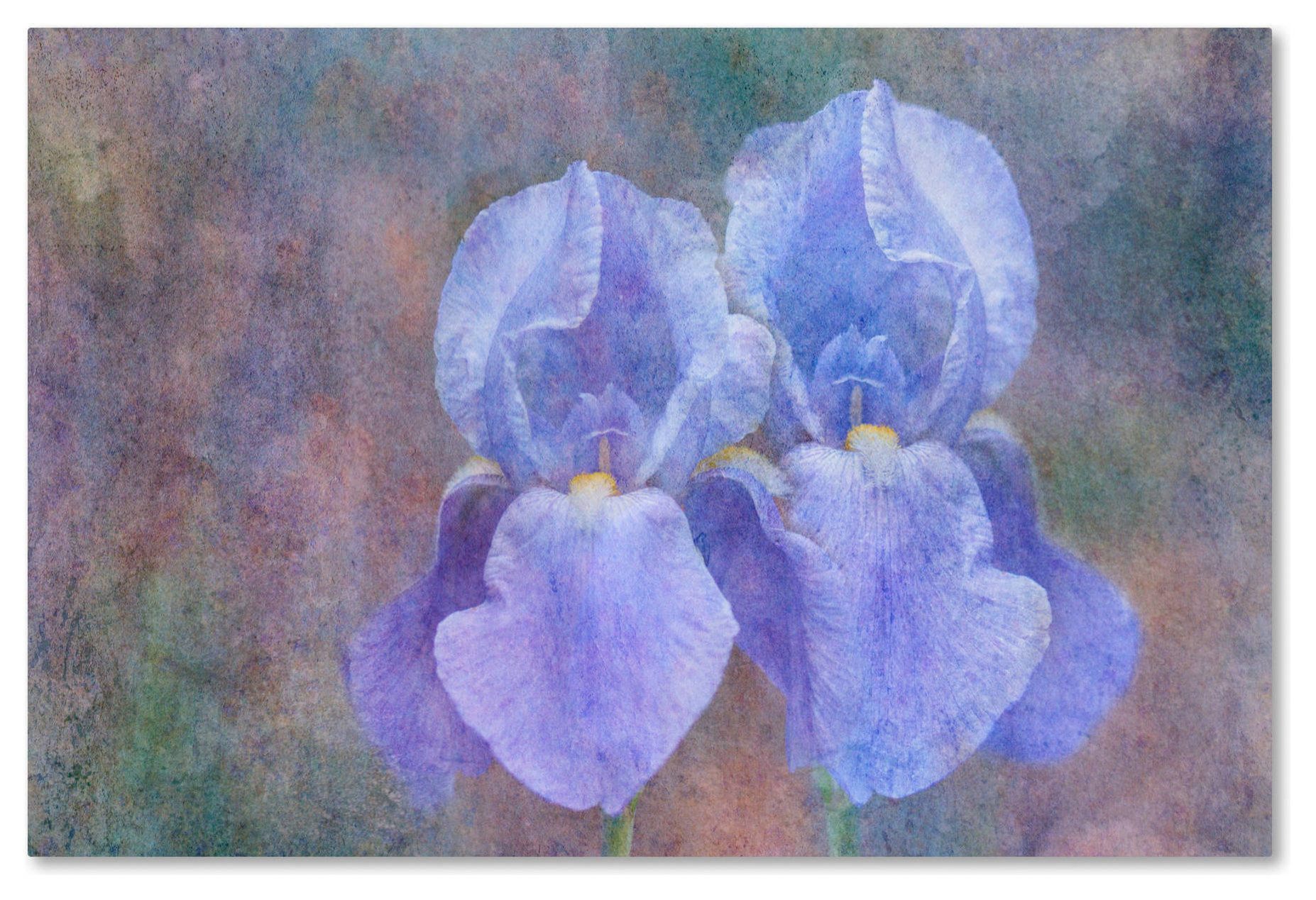 Cora Niele 'Iris Blue Rhythm' Canvas Art, 32 x 22 - Contemporary ...