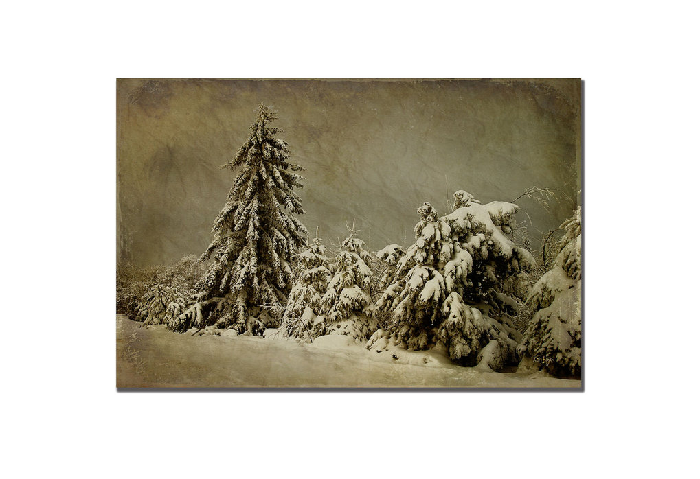 'Winters Wrath' Canvas Art by Lois Bryan, 22" x 32" - Traditional ...