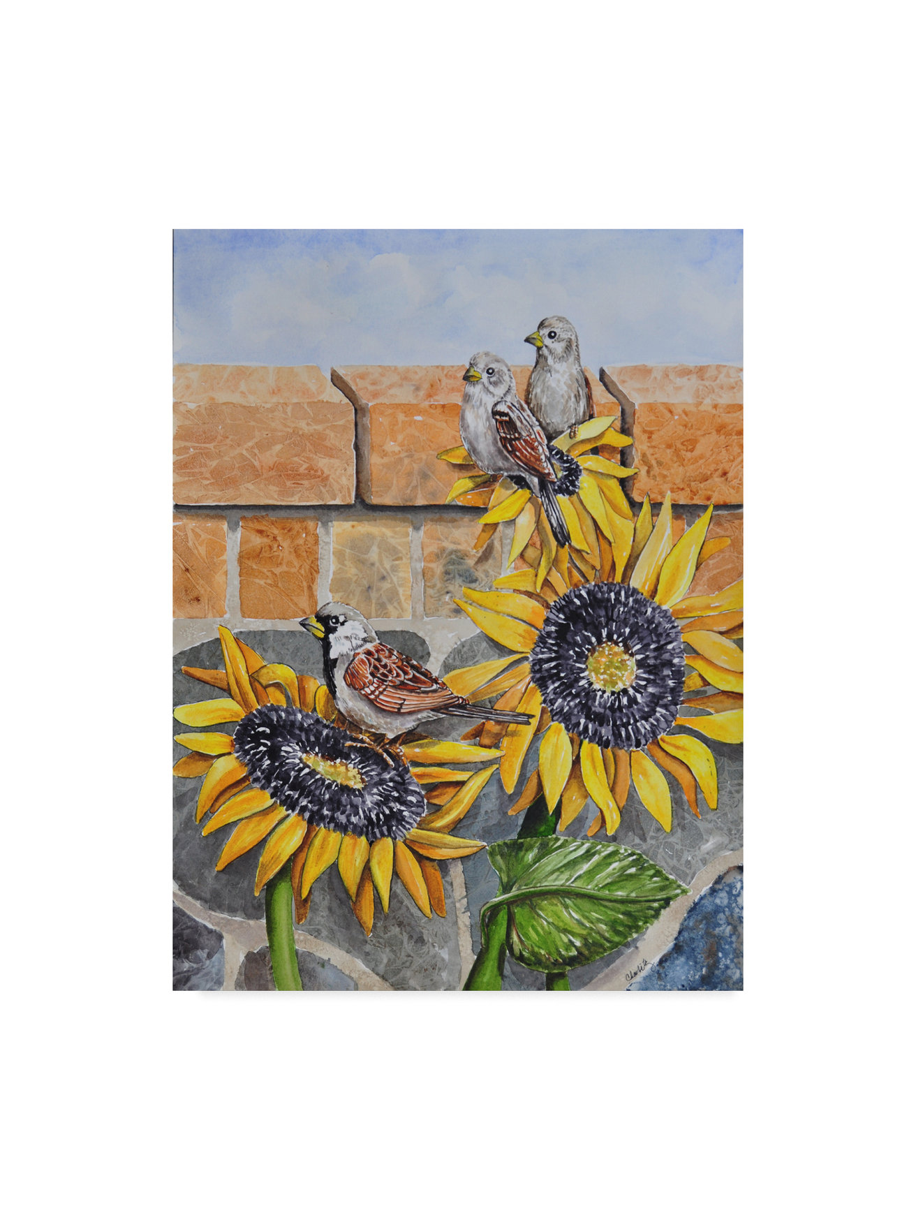 Charlsie Kelly 'House Sparrows With Sunflowers' Canvas Art, 14"x19 ...