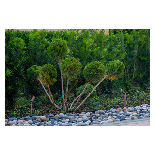 INVERNESS RD - Victorian - Landscape - Miami - by LunnScape | Houzz