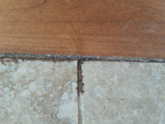 Bad stain job