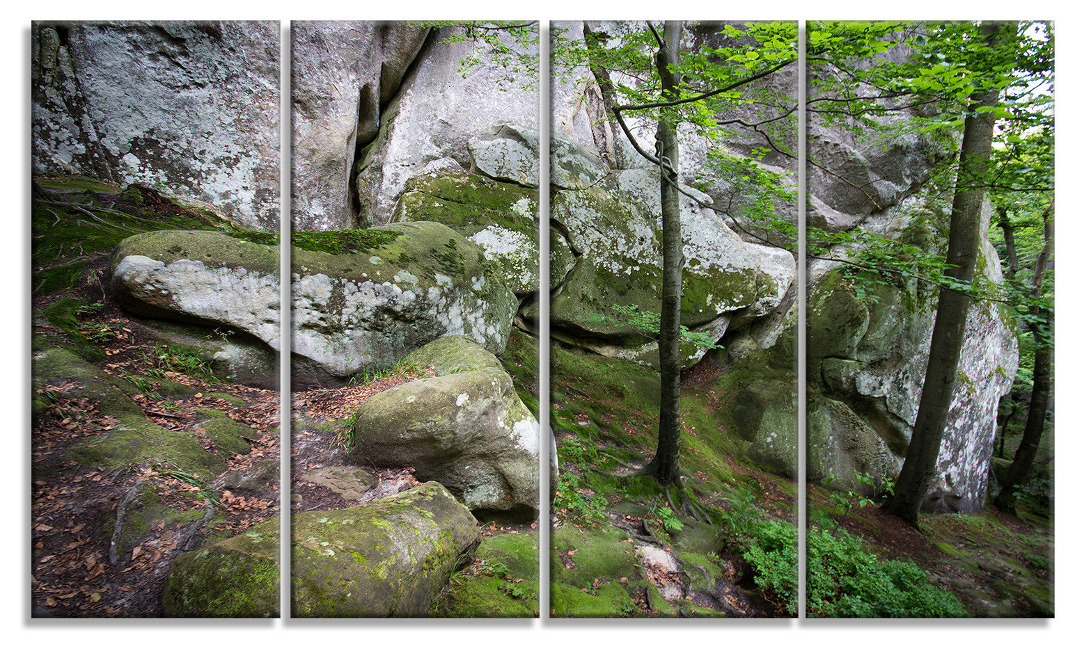 "Deep Moss Forest With Rocks" Glossy Metal Wall Art, 48"x28" - Rustic ...