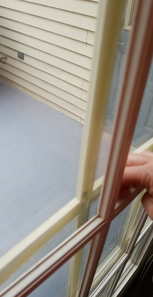 Window panes (pains)