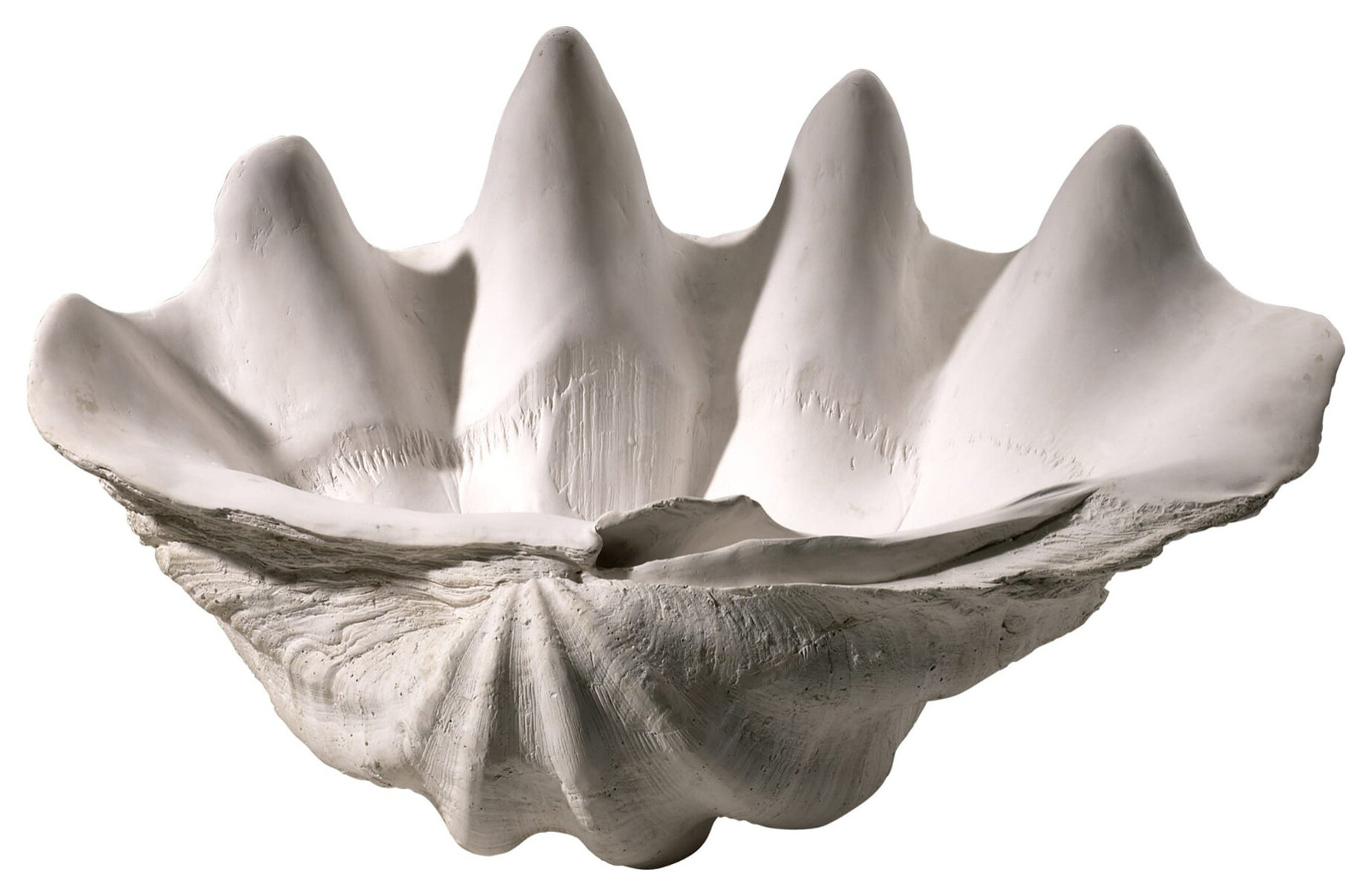 Clam Shell Bowl in White, 21.000 - Beach Style - Decorative Bowls - by ...