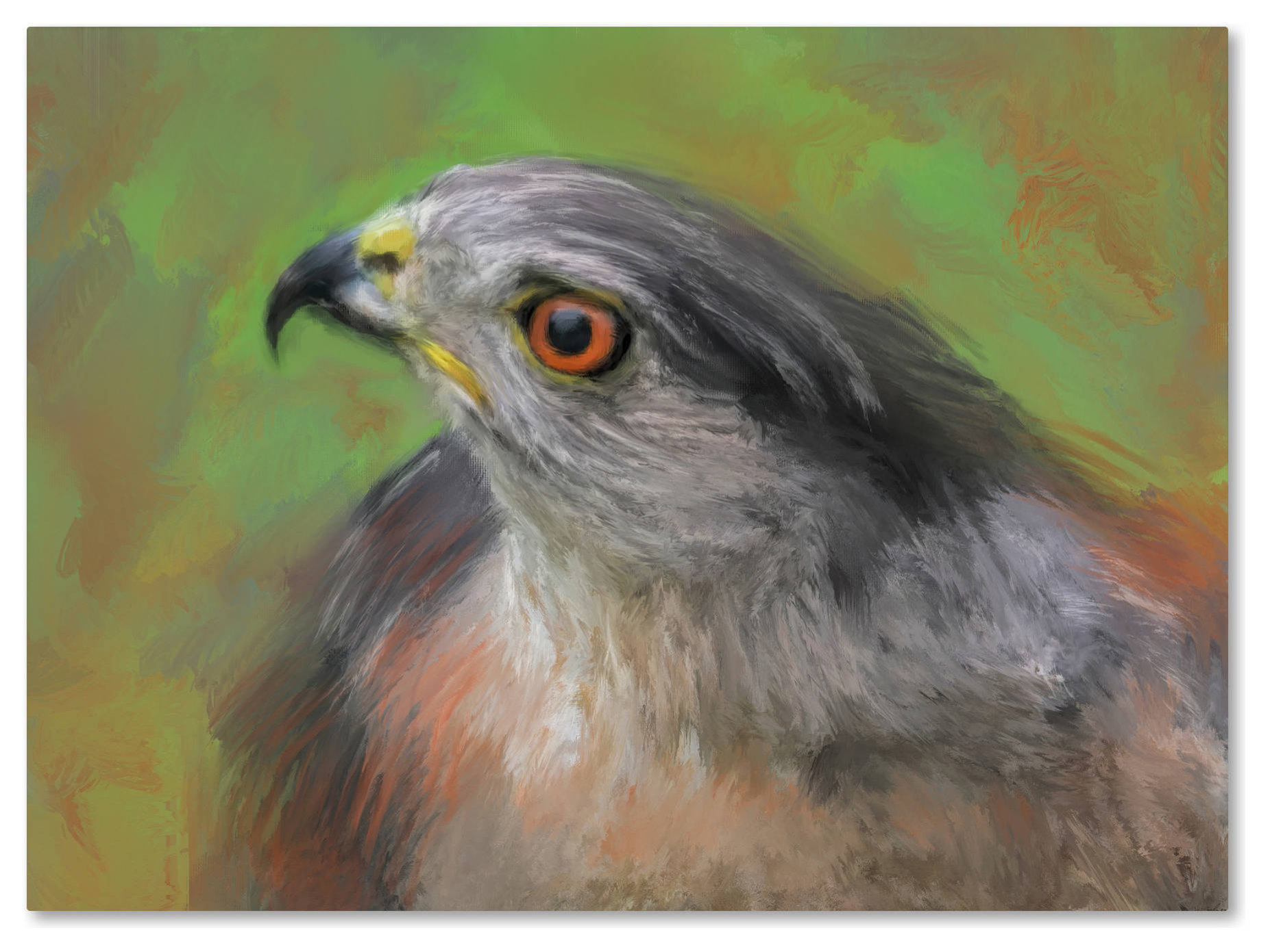 Jai Johnson 'The Sharp Shinned Hawk' Canvas Art, 24"x18" - Contemporary ...