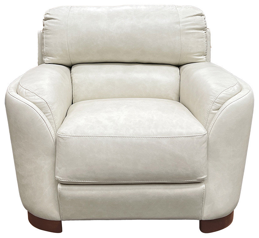 ACME Edrice Chair, Ice Gray Top Grain Leather - Contemporary ...