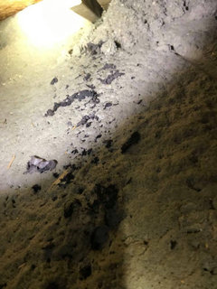 Rotten roof sheathing during winter