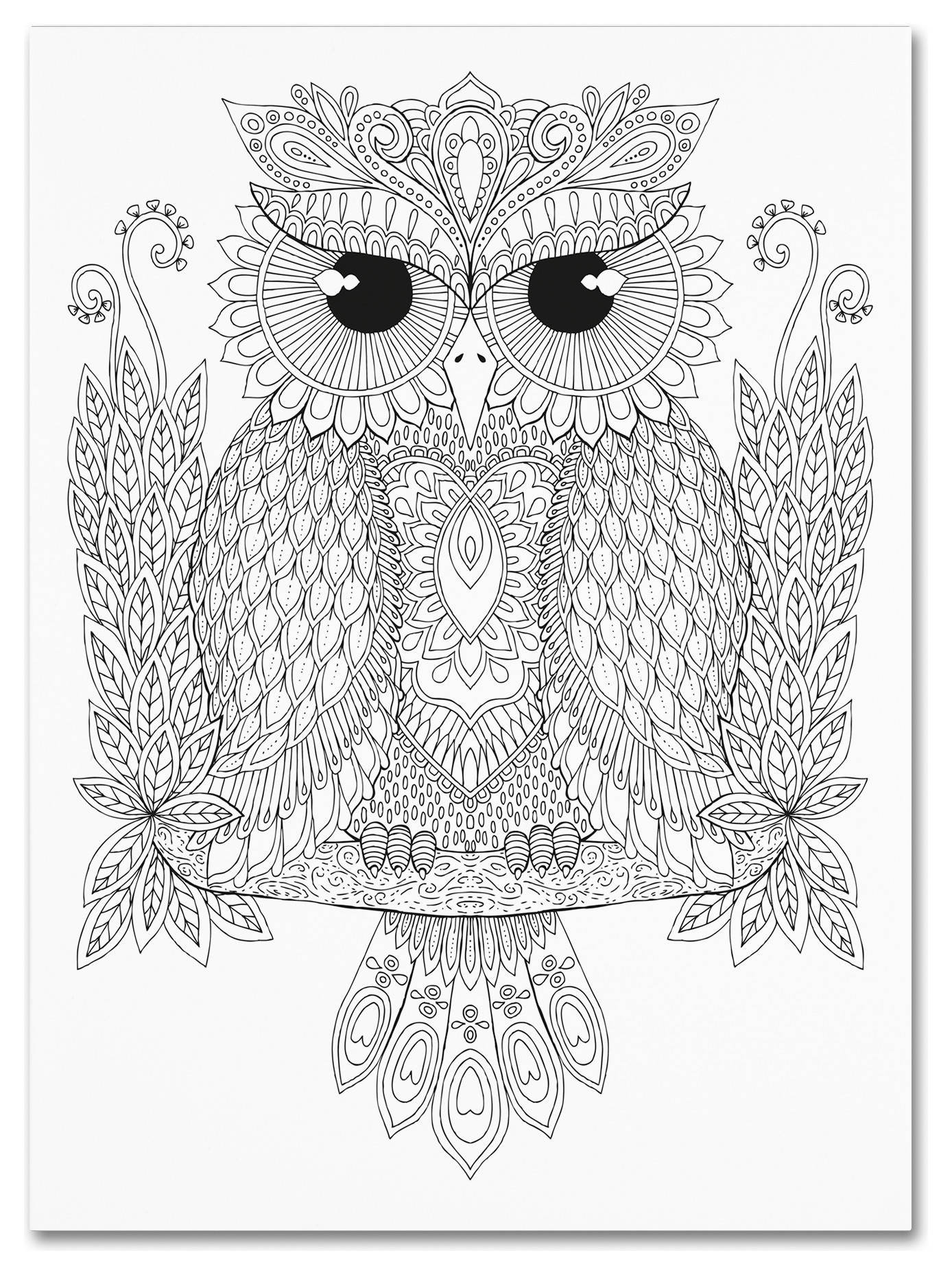 Hello Angel 'Night Owls 1' Canvas Art, 47"x35" - Rustic - Prints And ...