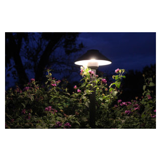 Jester's Crown - Contemporary - Landscape - Austin - by Native Edge ...